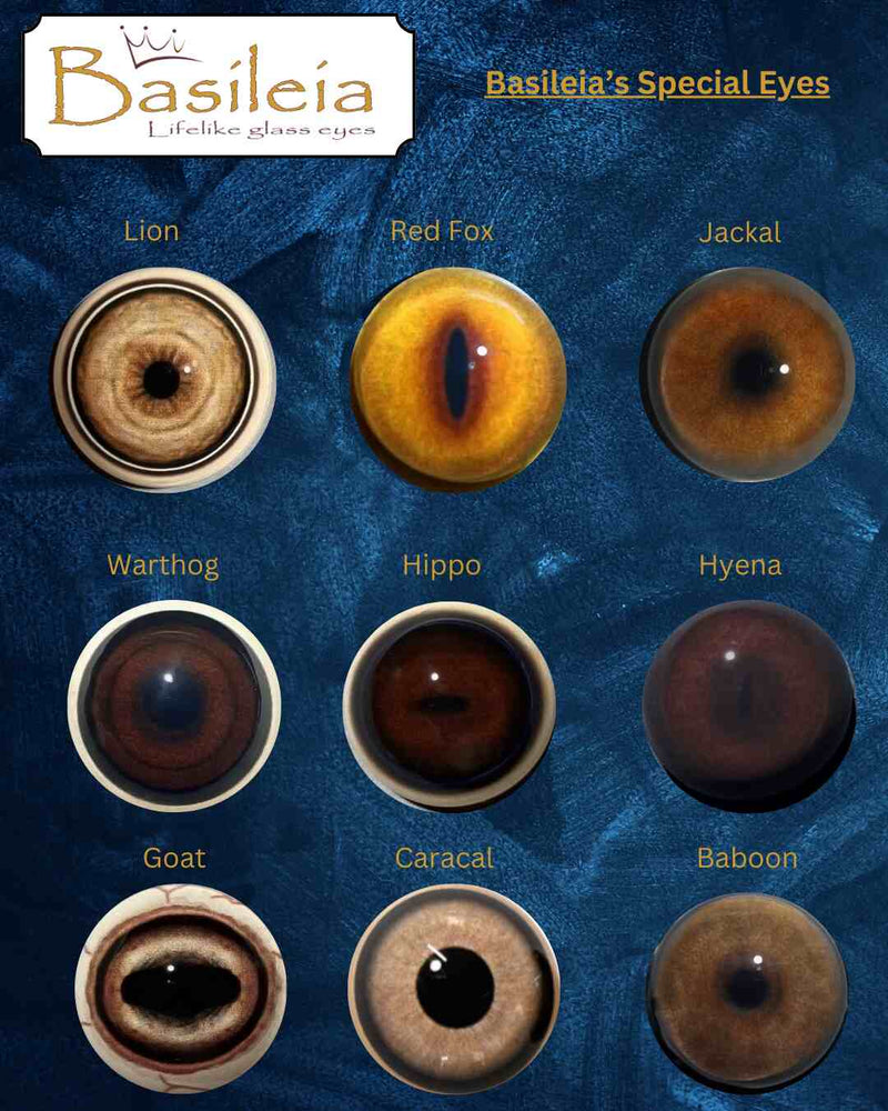 Lifelike glass eyes