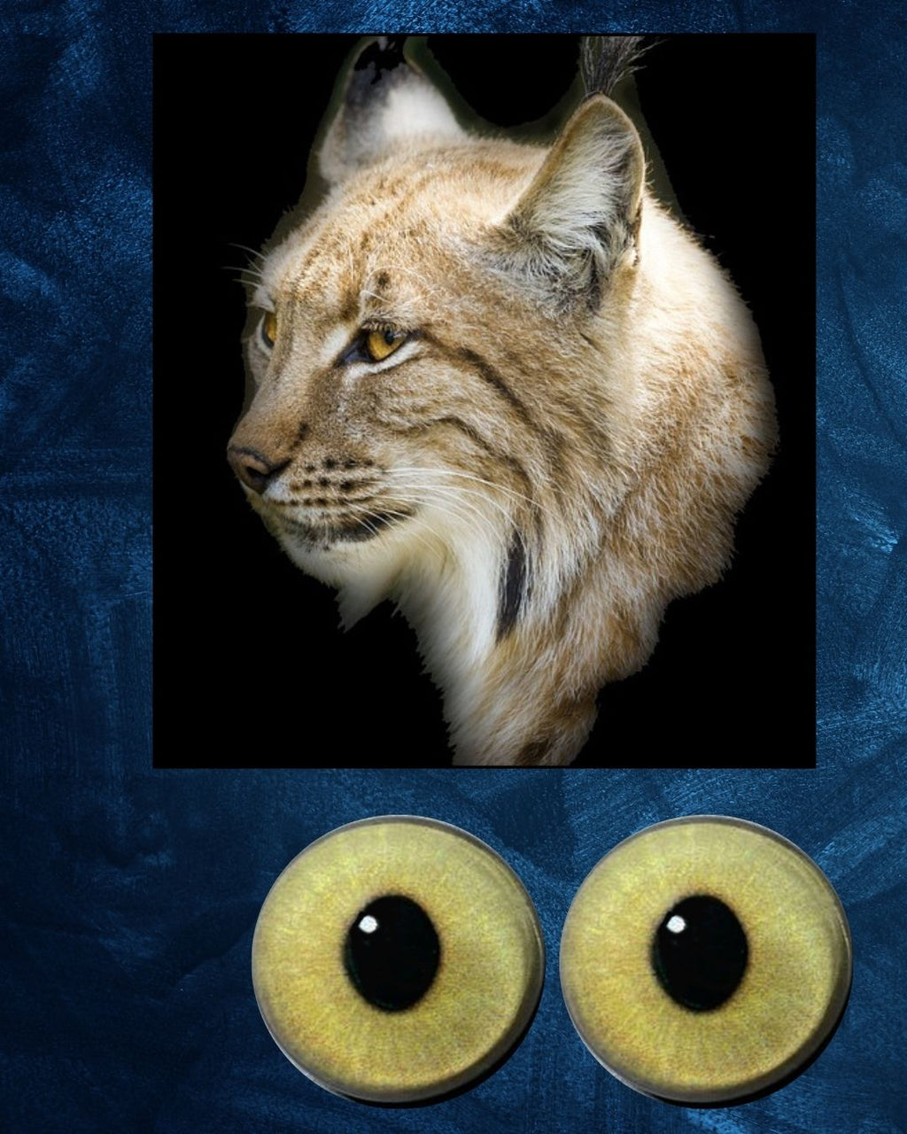Bobcat Eye - Slit pupil with yellow iris (BCY)