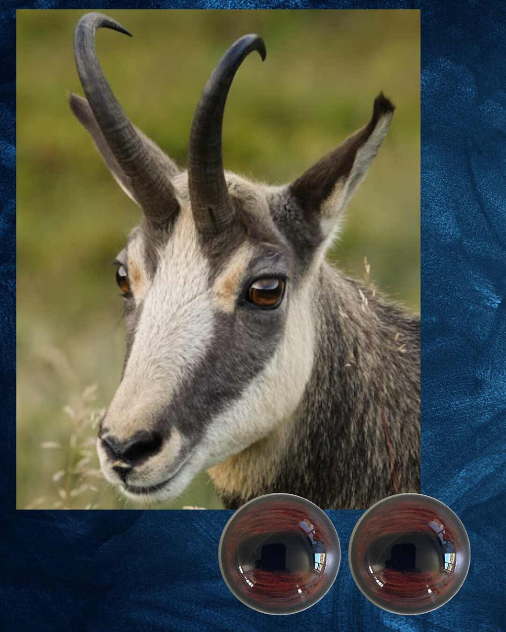 Chamois Eye - Oval Pupil with Warm Brown Iris and black circular veins