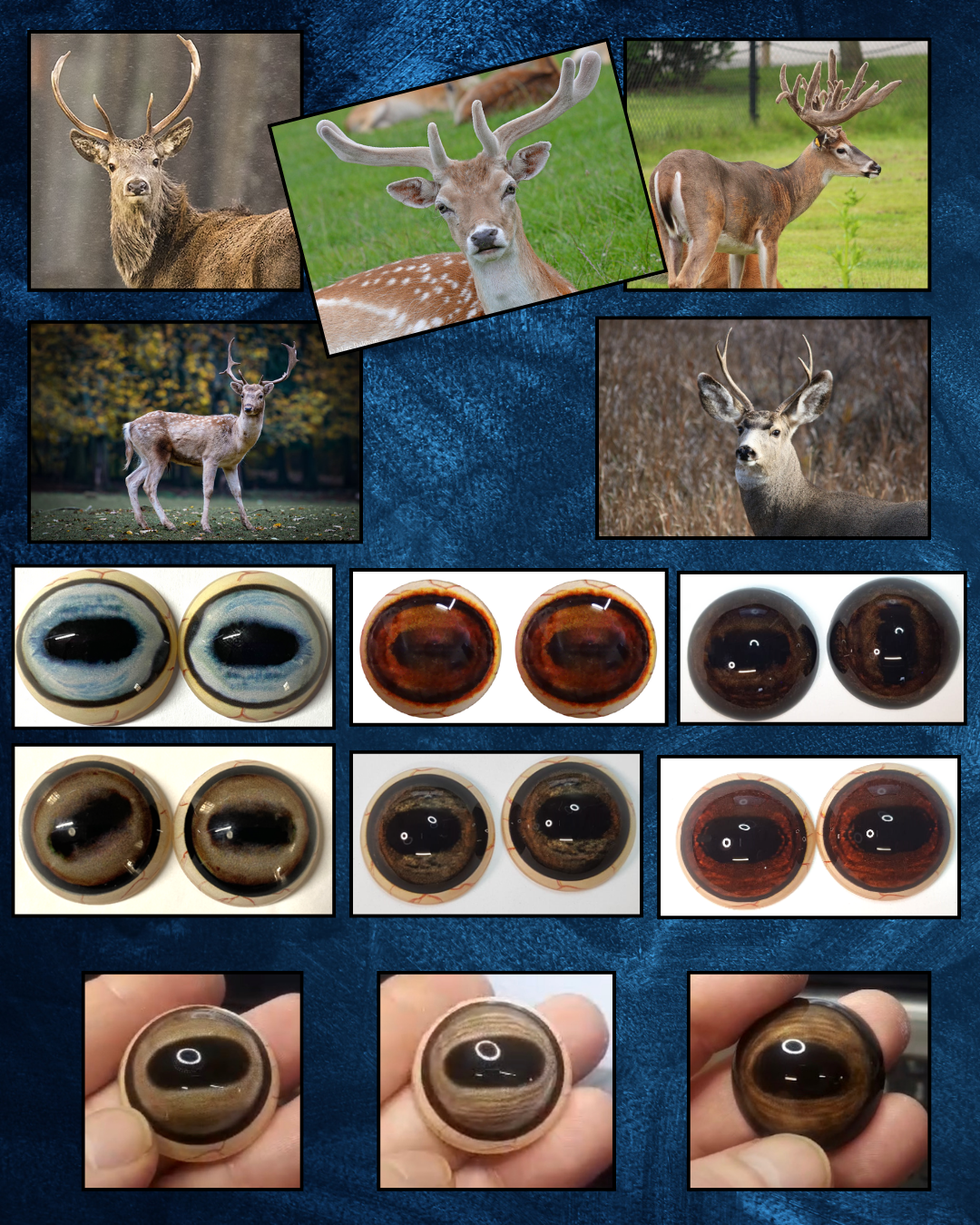 Lifelike glass eyes