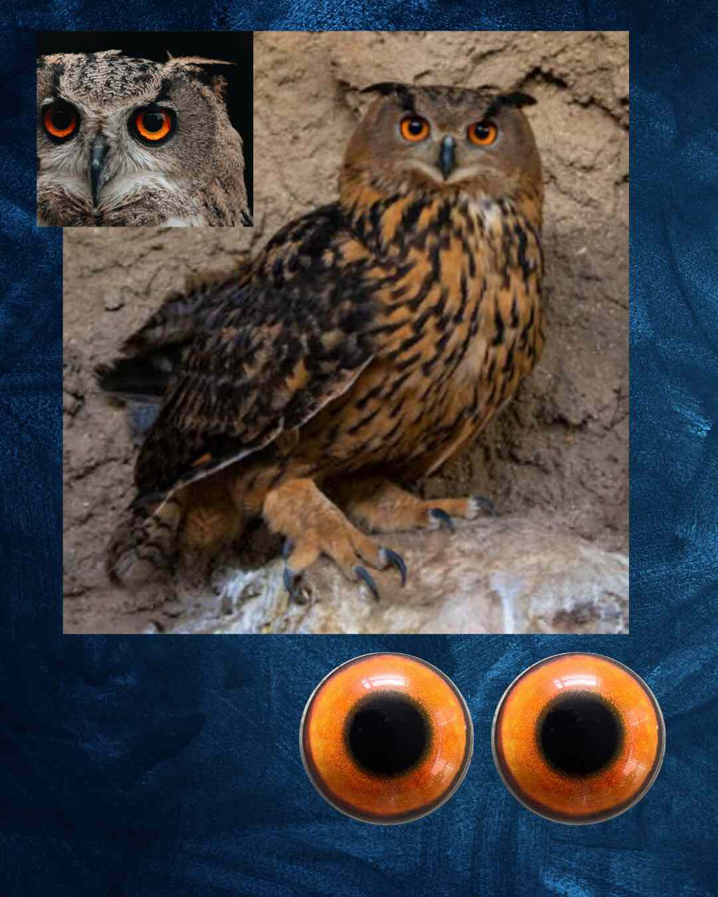 Eagle Owl Eye - Round pupil with orange red iris (OWL-EE)