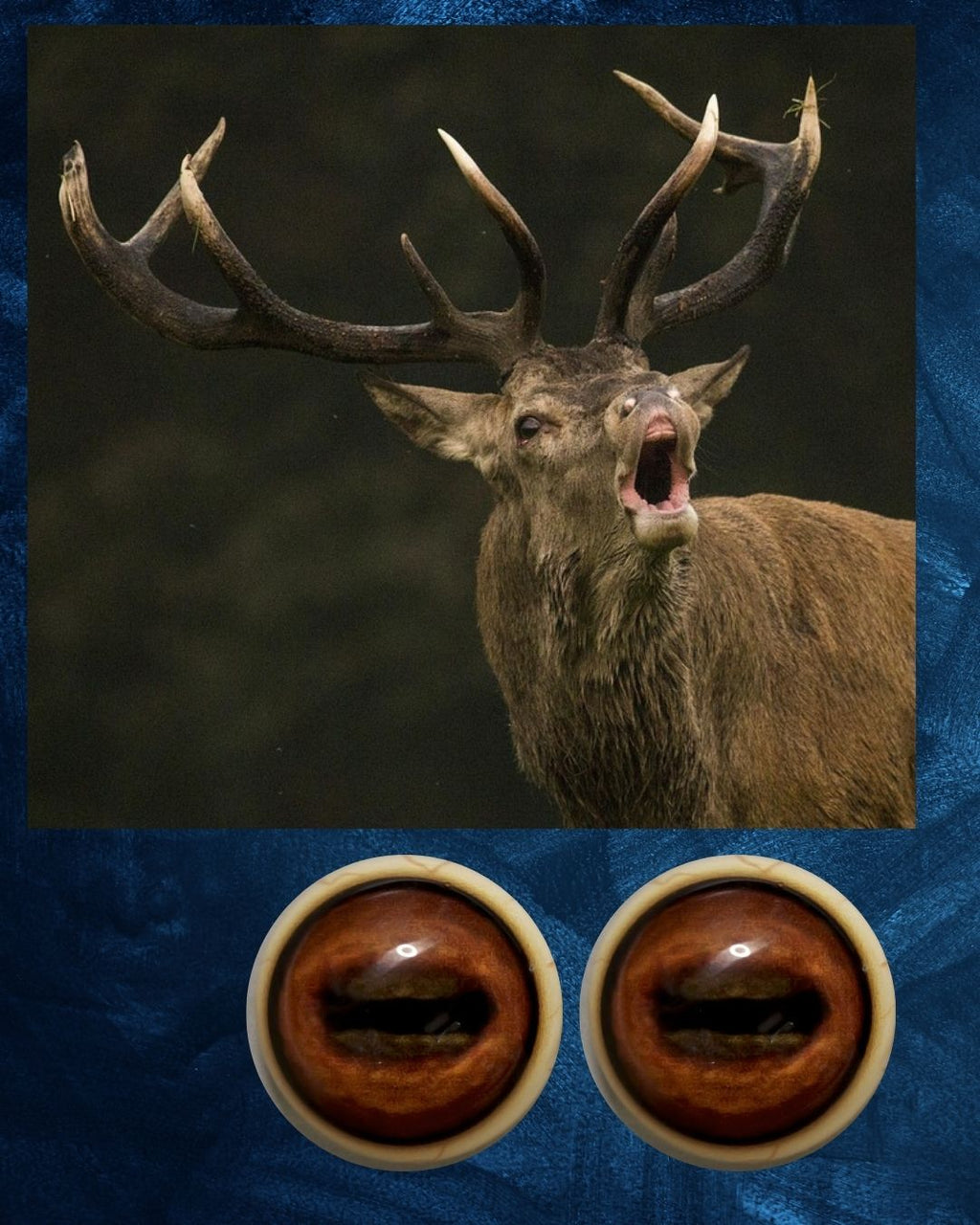 Red Deer Eye - Oval Pupil with red brown Iris (CHEB)