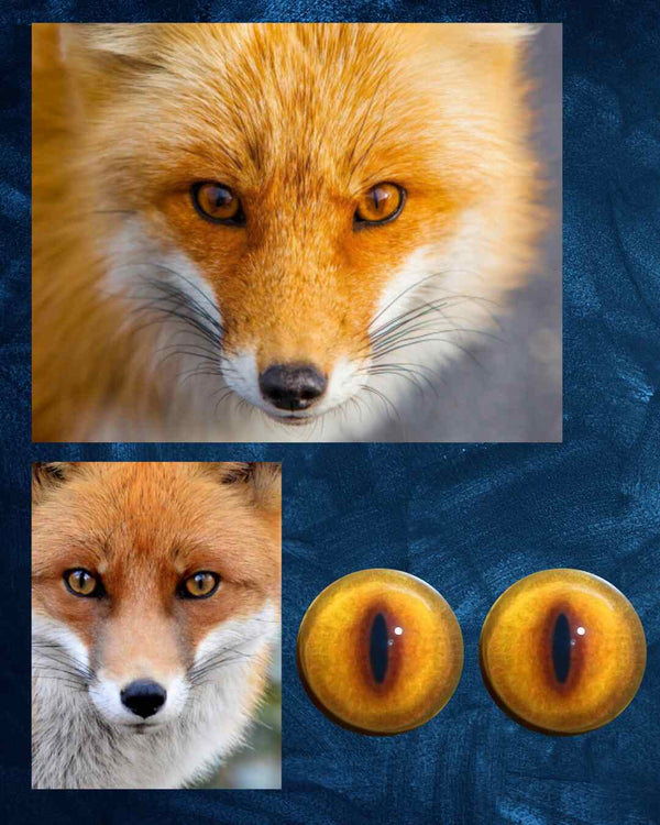 Red Fox Eye - Slit pupil with orange red iris (RFox)