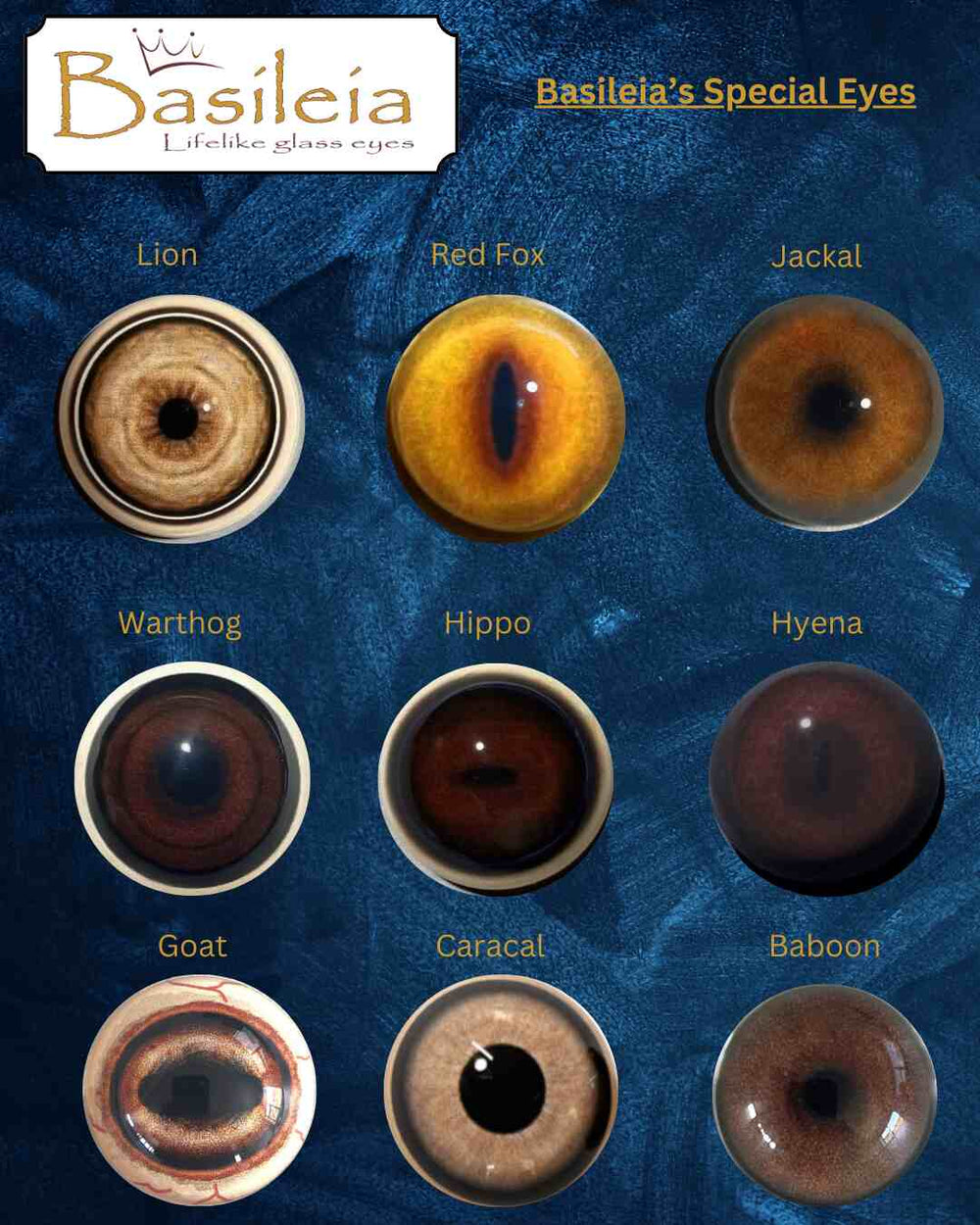 Lifelike glass eyes